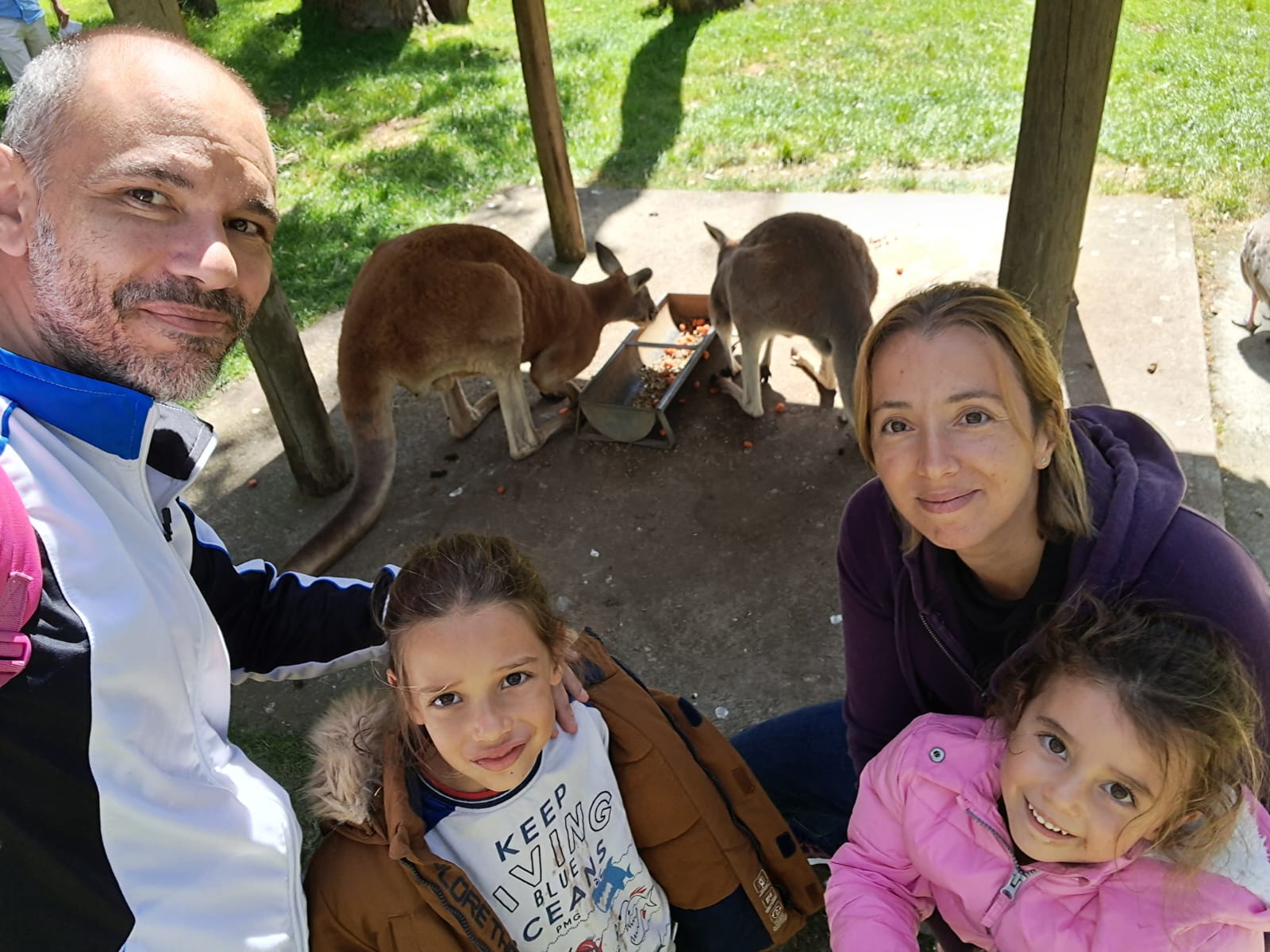 Why Adelaide beats Malta for lifestyle and opportunities - Adelaide ...
